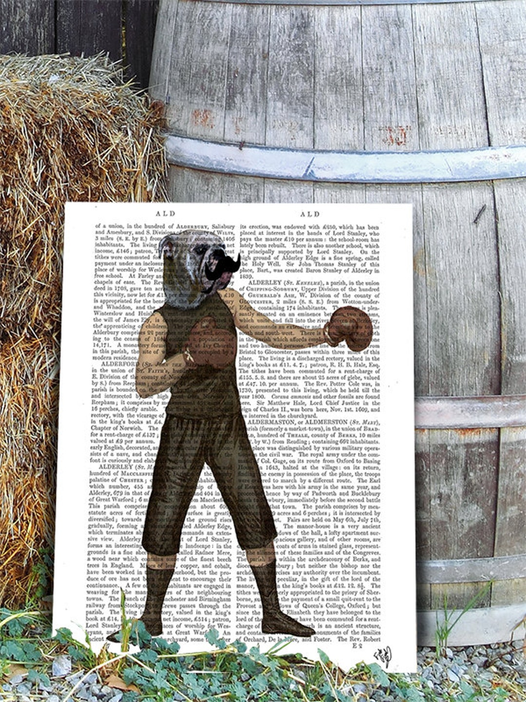 English Bulldog Art - Boxing Dog Boxing Poster Boxing Art English ...