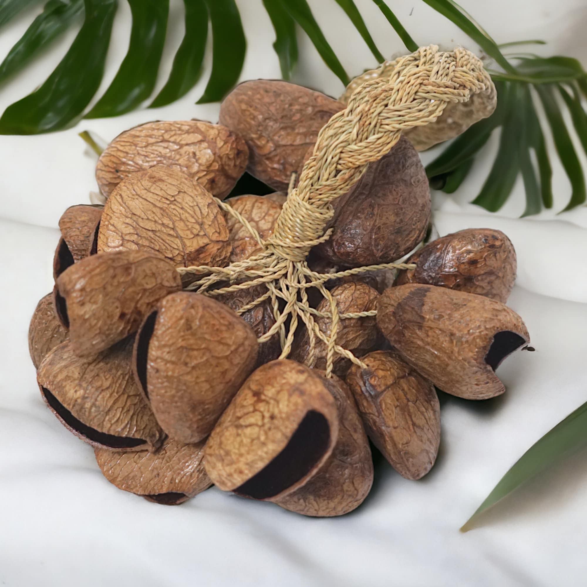 GMP Pangi Seed Shell Shaker/juju/chacha Nutshell Percussion Sound ...