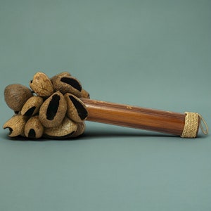 GMP Pangi Seed Shell Shaker/juju/chacha Nutshell Percussion Sound ...