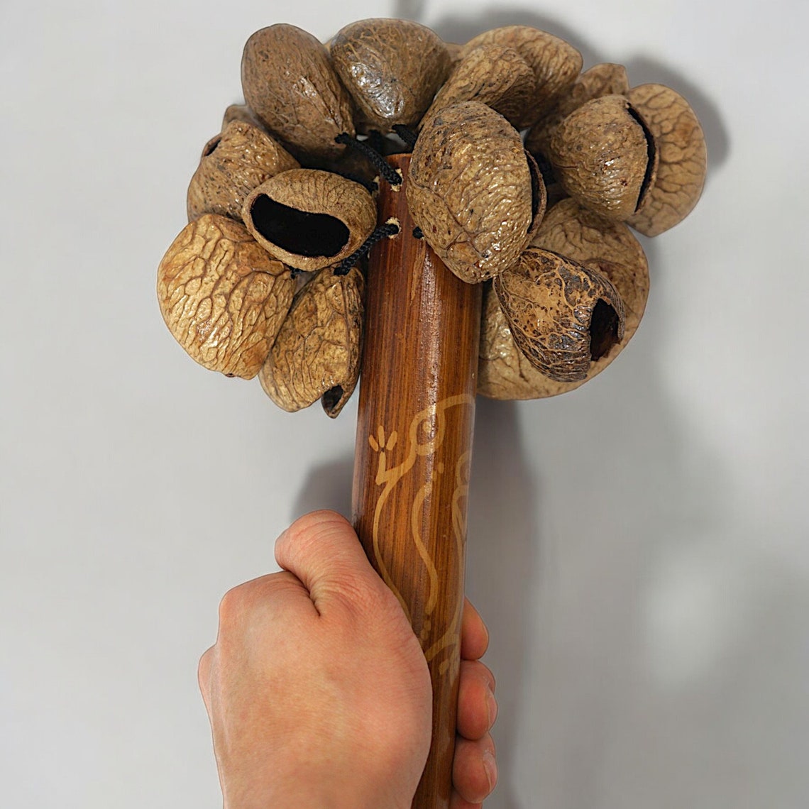 GMP Pangi Seed Shell Shaker/juju/chacha Nutshell Percussion Sound ...