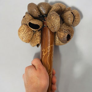 GMP Pangi Seed Shell Shaker/juju/chacha Nutshell Percussion Sound ...