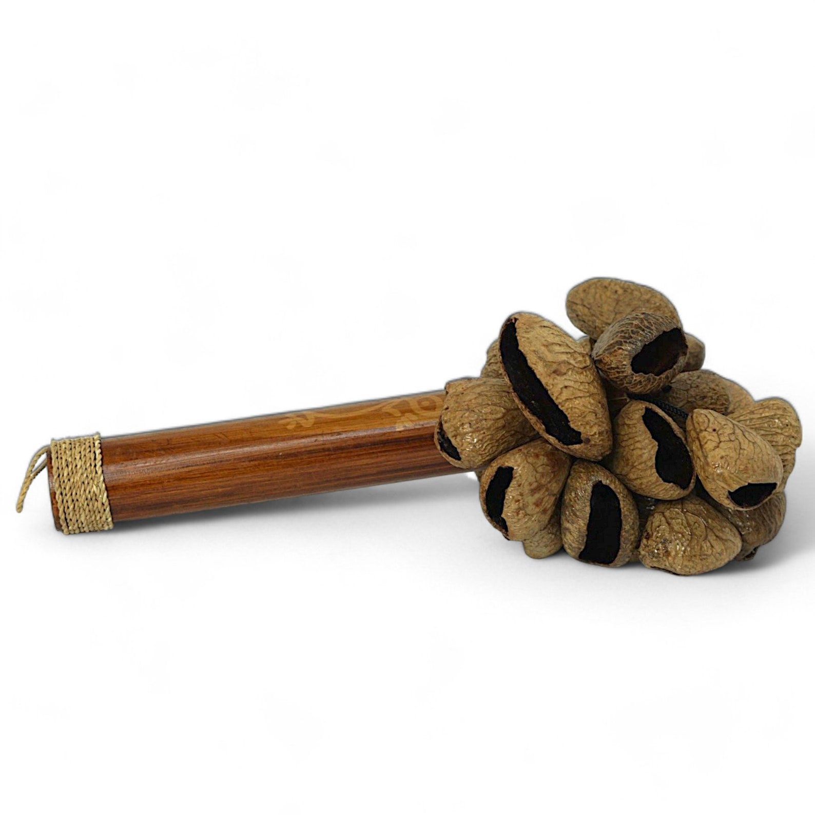 GMP Pangi Seed Shell Shaker/juju/chacha Nutshell Percussion Sound ...