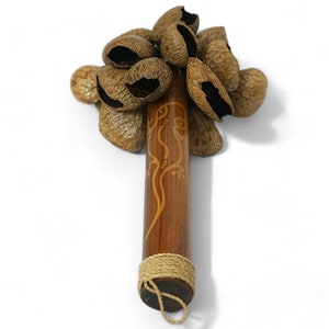 GMP Pangi Seed Shell Shaker/juju/chacha Nutshell Percussion Sound ...