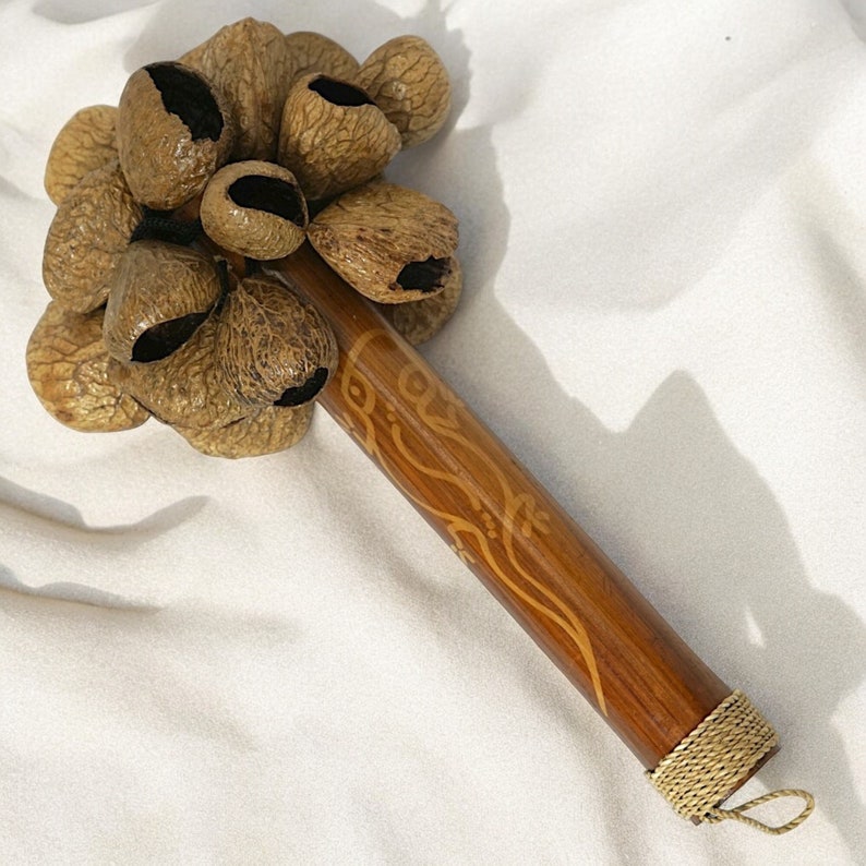 GMP Pangi Seed Shell Shaker/juju/chacha Nutshell Percussion Sound ...