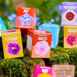 Personalized Birth Flower Grow Kit: Gardening Gift - Custom Bag Option ...