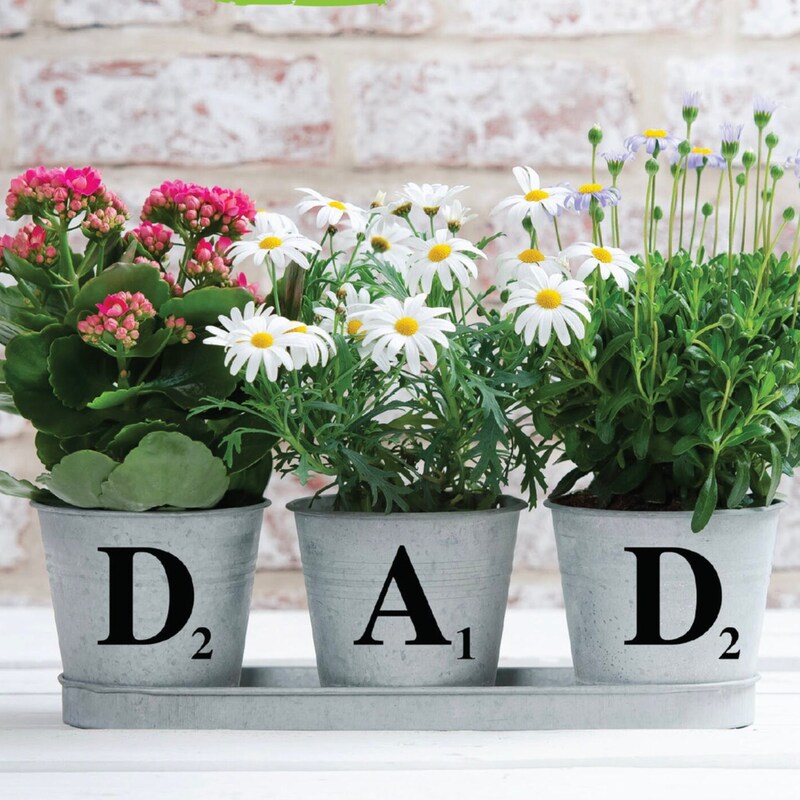 Indoor Herb Planter - Etsy