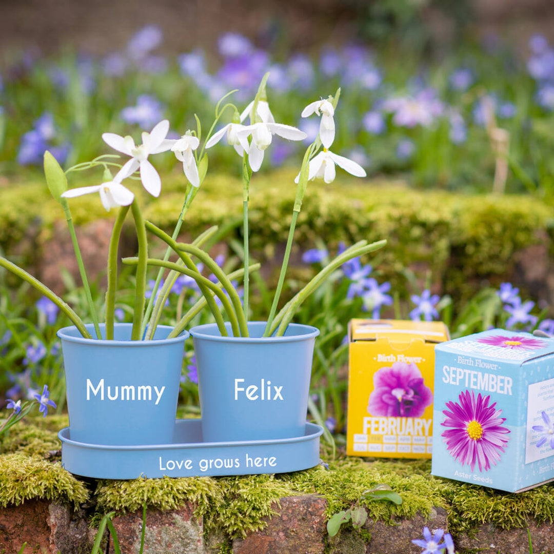 Personalized Blue Double Planter: Birth Flower Grow Kit, Porch Decor - Etsy