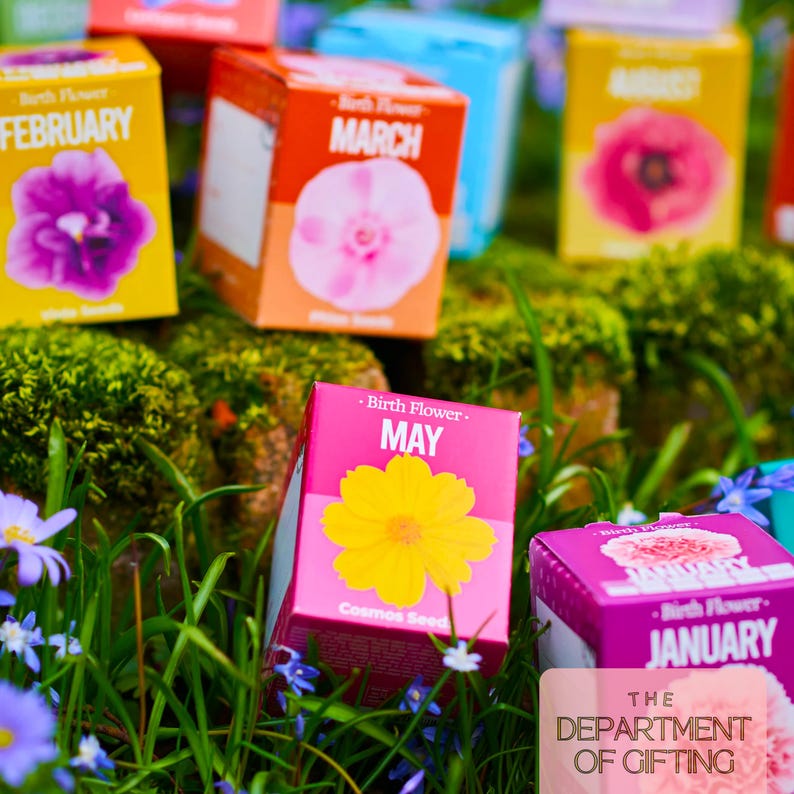 Personalized Birth Flower Grow Kit: Gardening Gift - Custom Bag Option ...