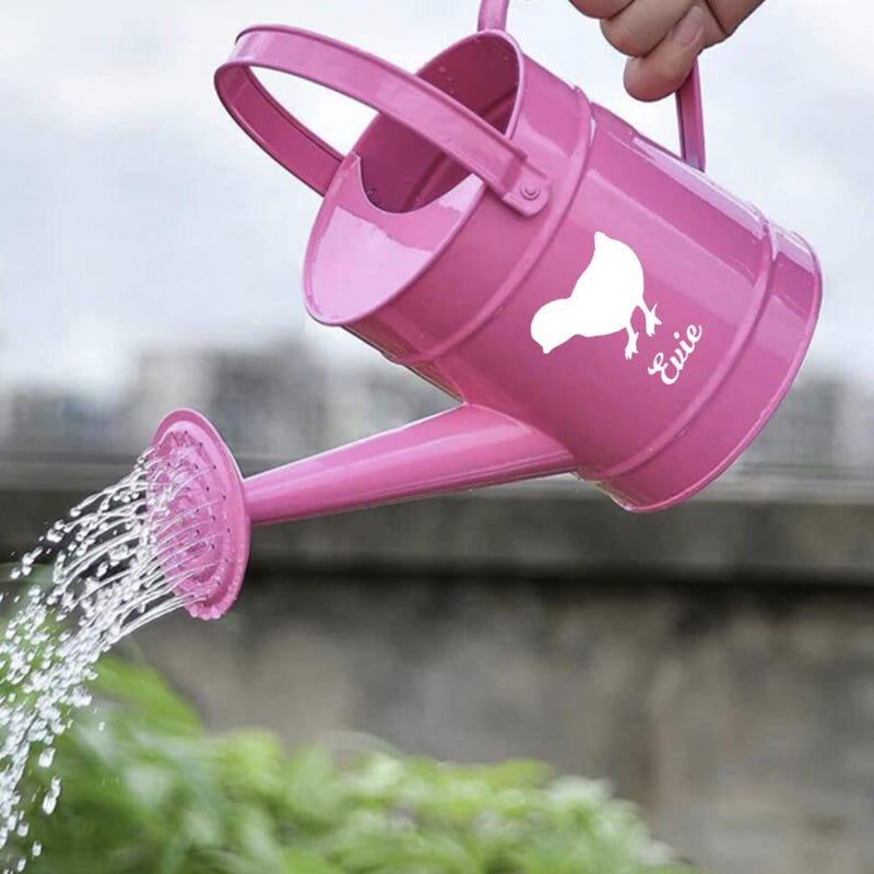 Watering Can - Etsy