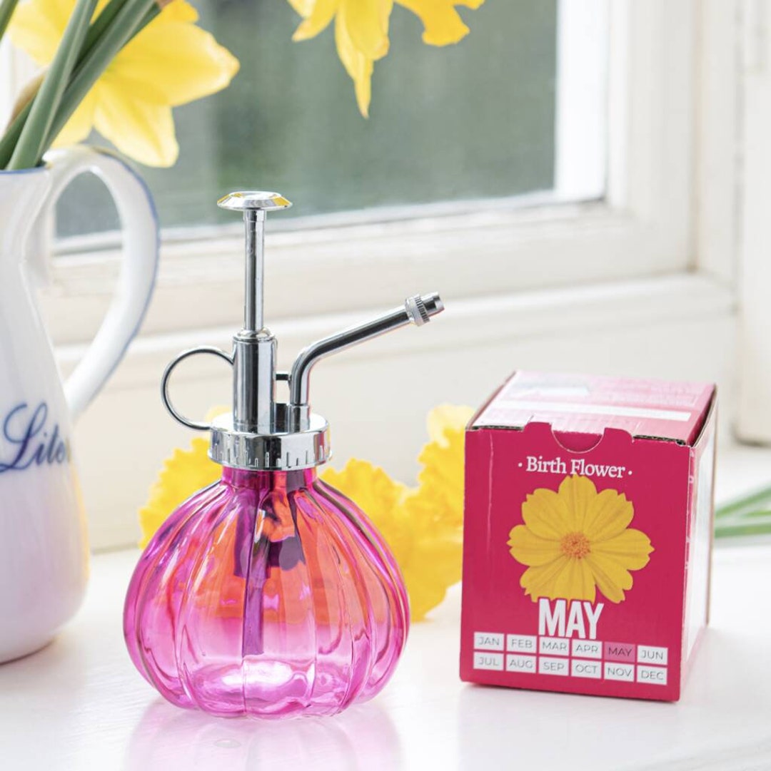 Birth Flower Grow Kit: Hand-packed Seeds & Glass Mister - Birthday Gift ...