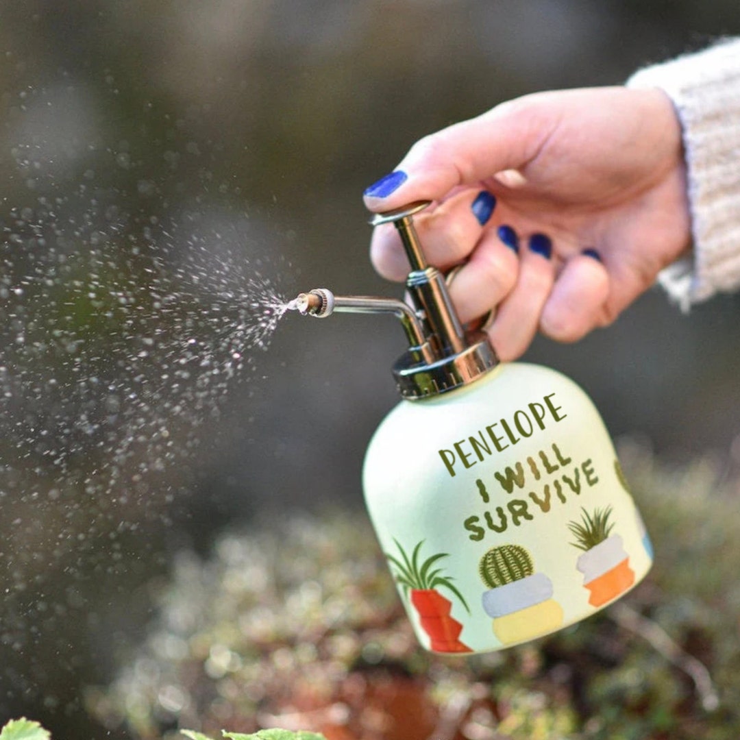 Garden Mister Plant Mister Indoor Plant Mister Gift for a Gardener ...