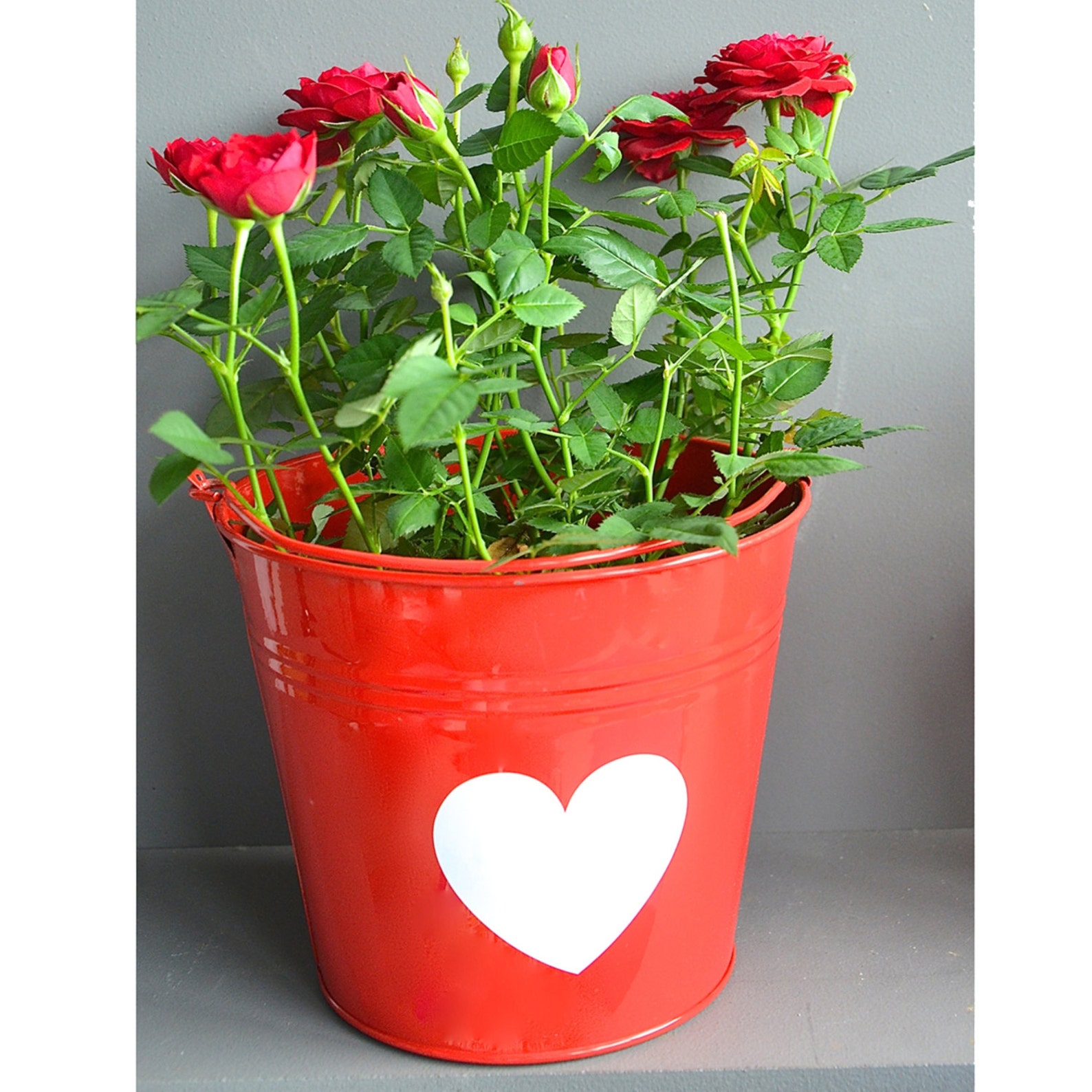 Personalised Red Buckets With White Letter Customised - Etsy