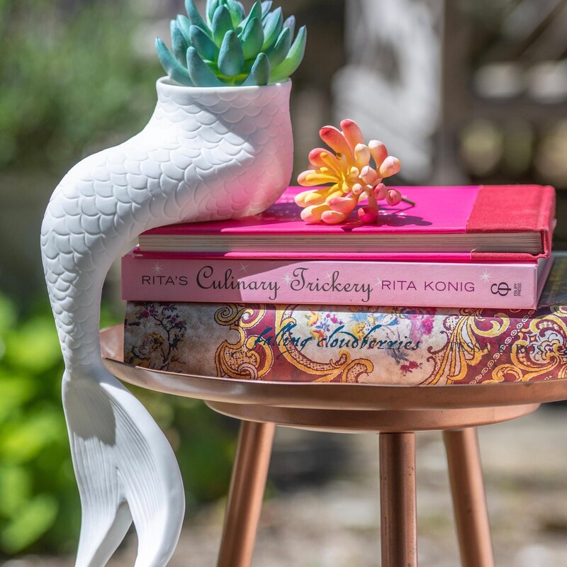 Mermaid Succulent Planter - Etsy