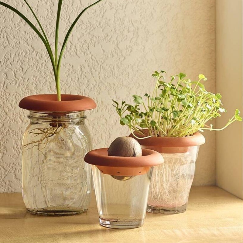 Terracotta Seed Trays - Etsy