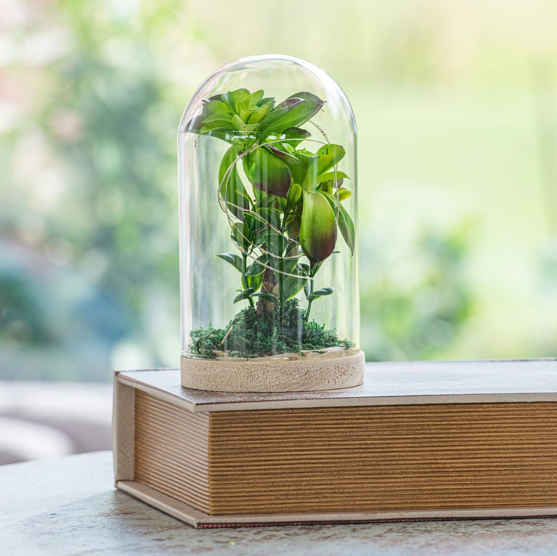 LED Plant Fairy Light succulents Terrariums Faux Plants - Etsy