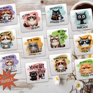 Funny Cat Faces With Quotes, Square Coaster Sublimation Bundle, PNG ...