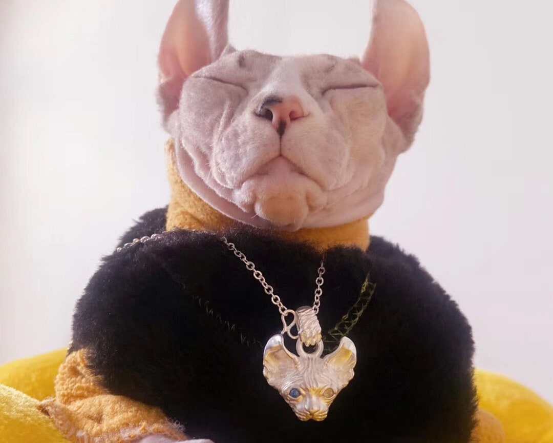 Sterling Silver 3D Cat Pendant Necklace With Chain, Custom Necklace ...