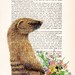 Happy Badger With Flowers Illustration Drawing Animal in - Etsy