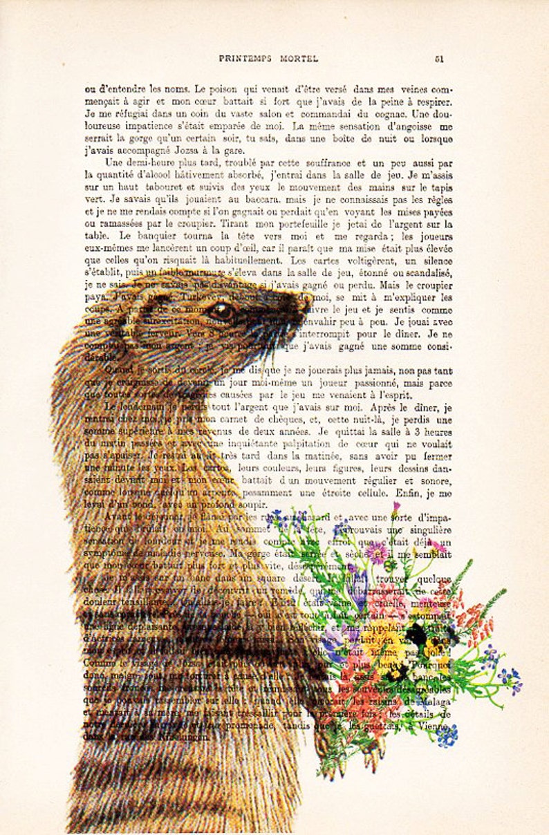 Happy Badger With Flowers Illustration Drawing Animal in - Etsy