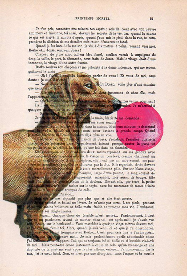 Burlesque Daschund Print Animal With Bubblegum Daschund - Etsy