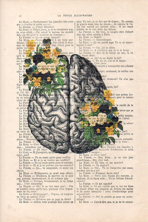 Brain Art Print on 1900 vintage page botanical flowers posters | Etsy