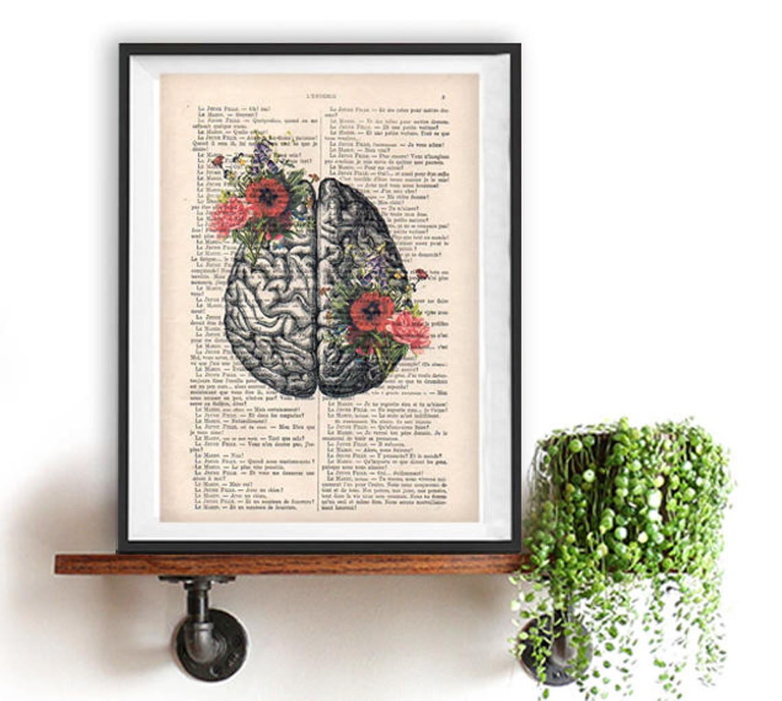 Brain Art Print on 1900 Vintage Page Botanical Flowers Posters - Etsy