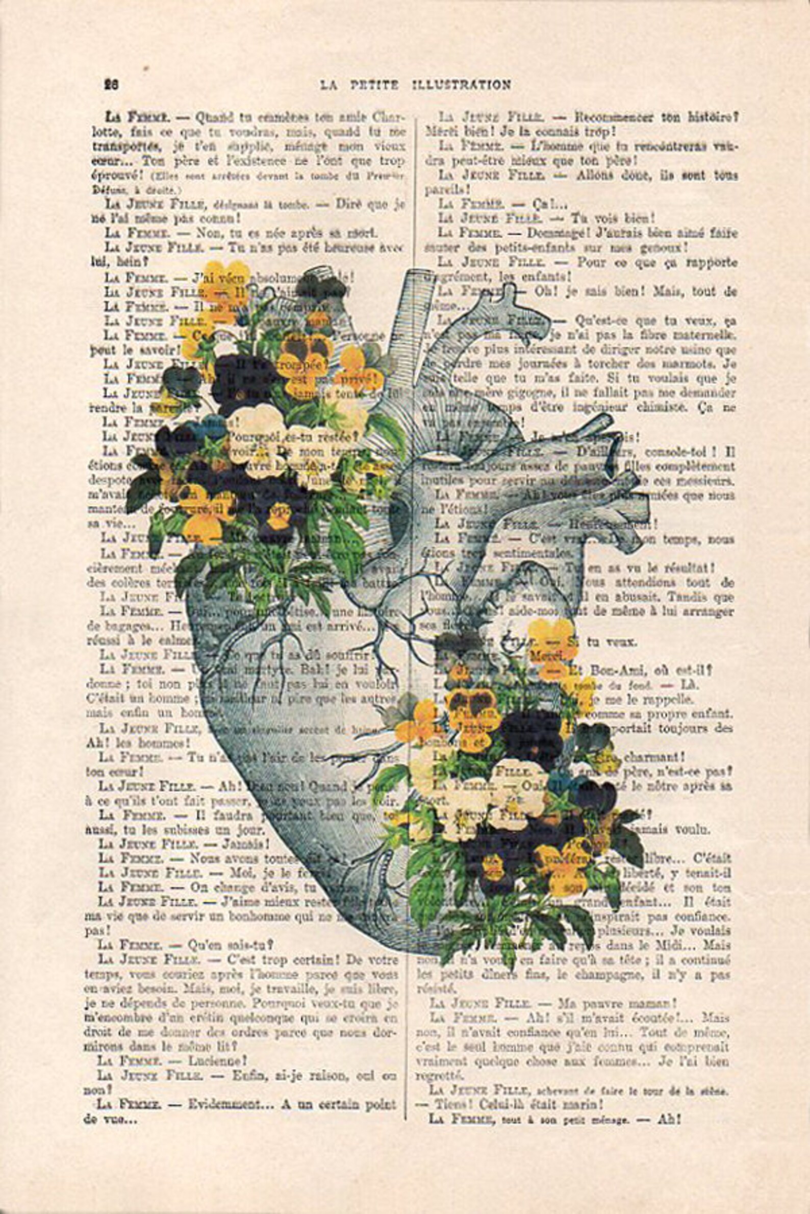 Heart Pansy Anatomy Botanical Flower Vintage Drawing Book Art - Etsy