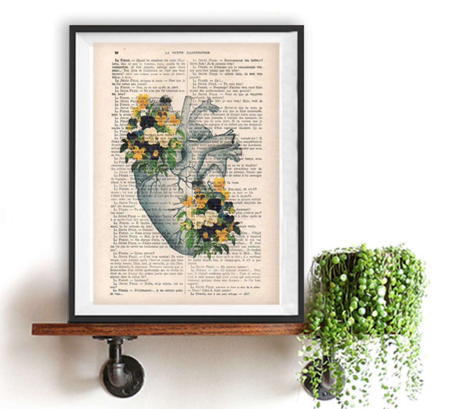 Heart Pansy Anatomy Botanical Flower Vintage Drawing Book Art - Etsy