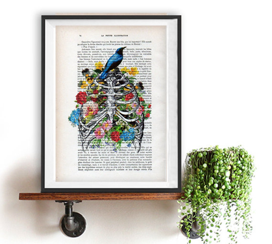 Anatomy Rib Cage Print Flower Bird Art Illustration Dictionary Page ...