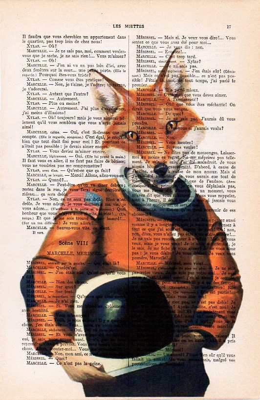 Art Print Fox Astronaut Original Fox Illustration Space - Etsy