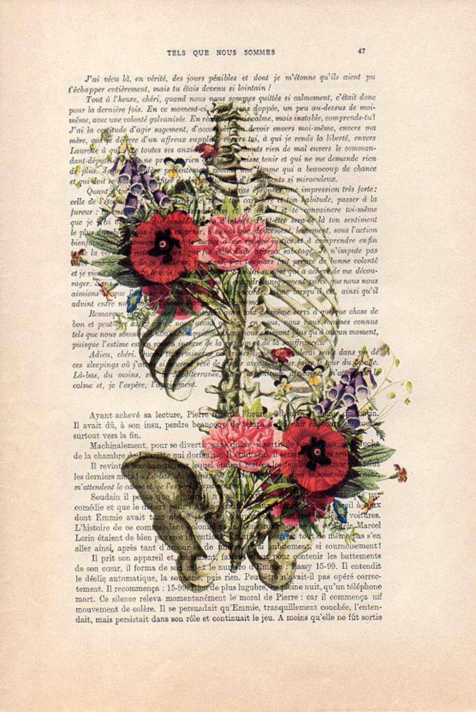 Anatomy Rib Cage Print Flower Art Illustration Dictionary Page - Etsy UK