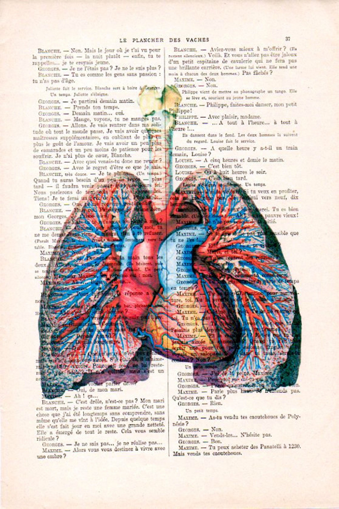 Vintage Lungs Anatomy Print on 1900 vintage floral page | Etsy