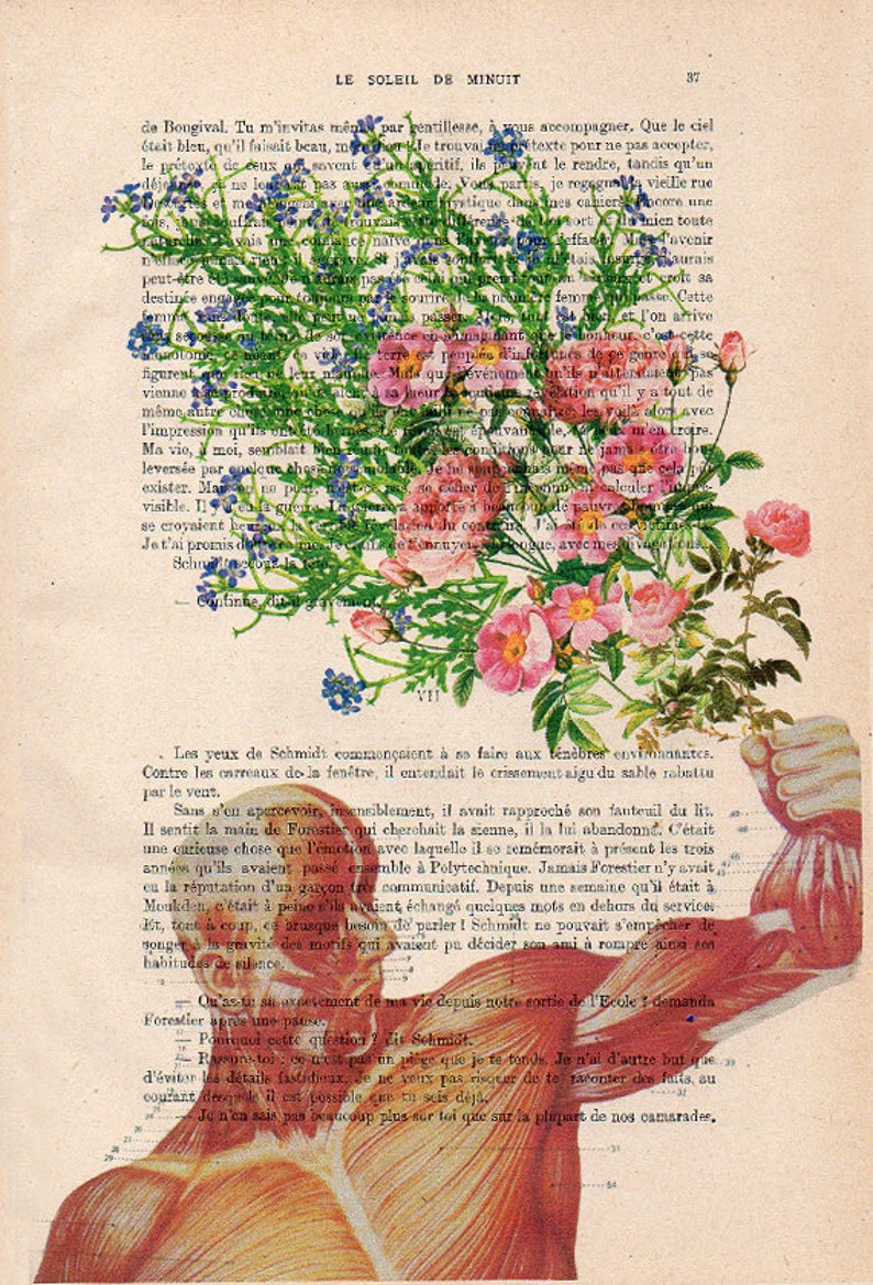 Human Anatomy Print Flowers Botanic Illustration Vintage - Etsy