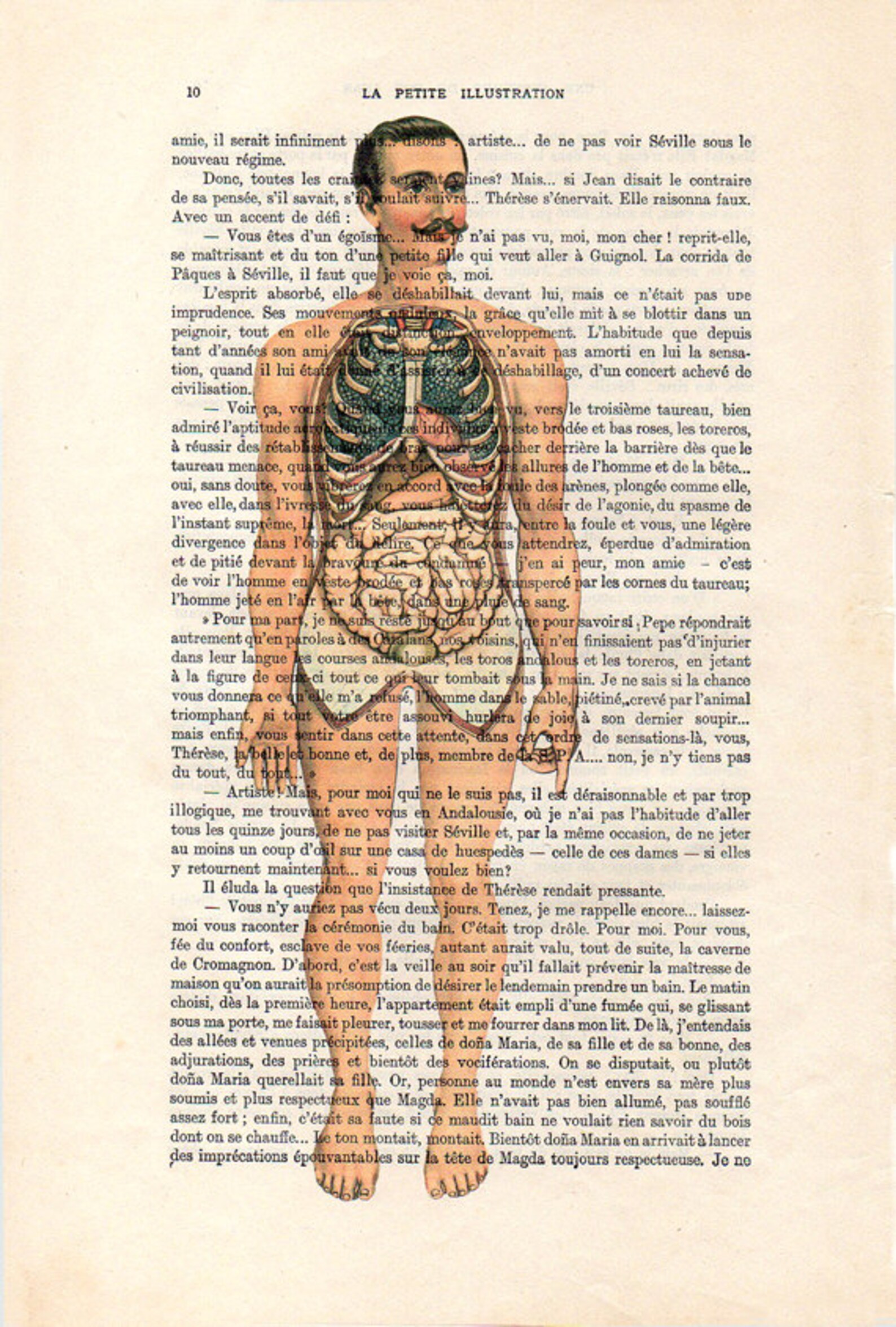 Retro Anatomy Man Print Body Illustration Dictionary Page Vintage ...