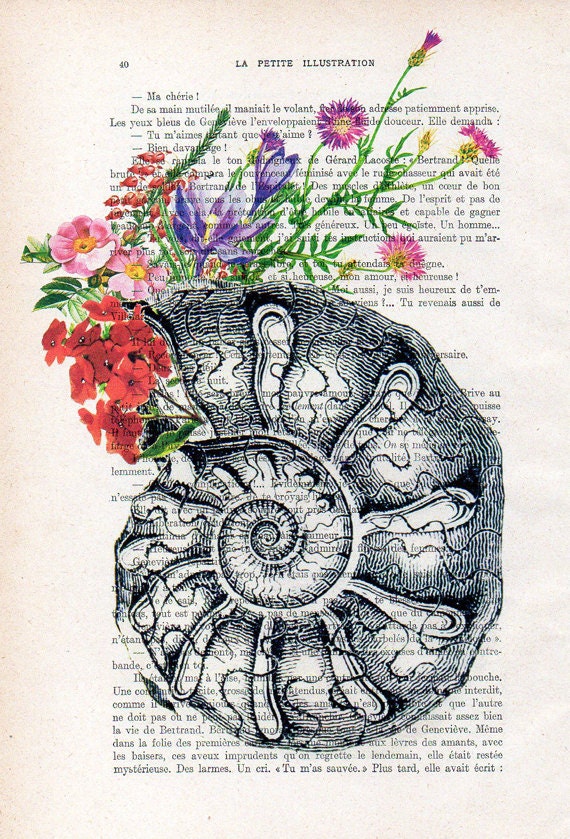 Sea Shell Flowers Print Whimsical French Shabby Chic - Etsy