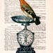 Vintage Scale Drawing, Bird Artwork, Scale Print, for Men, Office Art ...