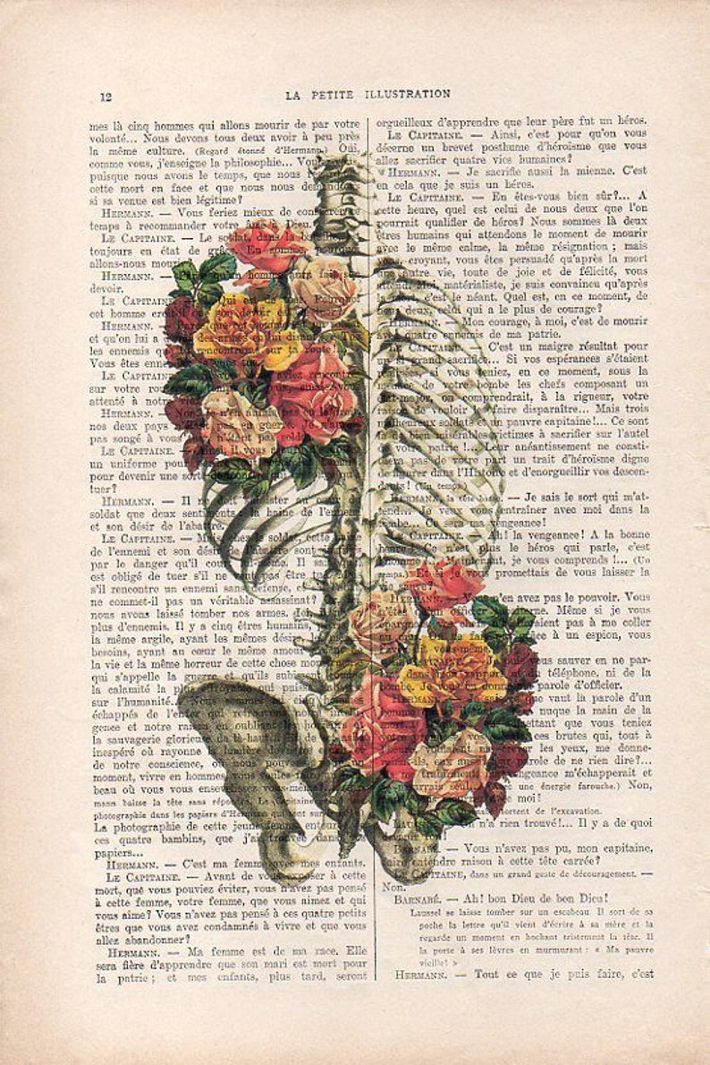 Anatomy Rib Cage Print Flower French Art Illustration - Etsy