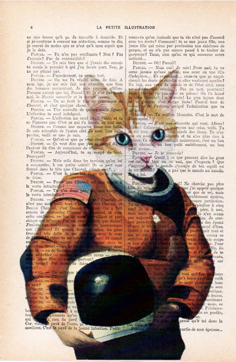 Cat Astronaut, Art Print Poster, Space, Cat Space Suit ,DICTIONARY ...