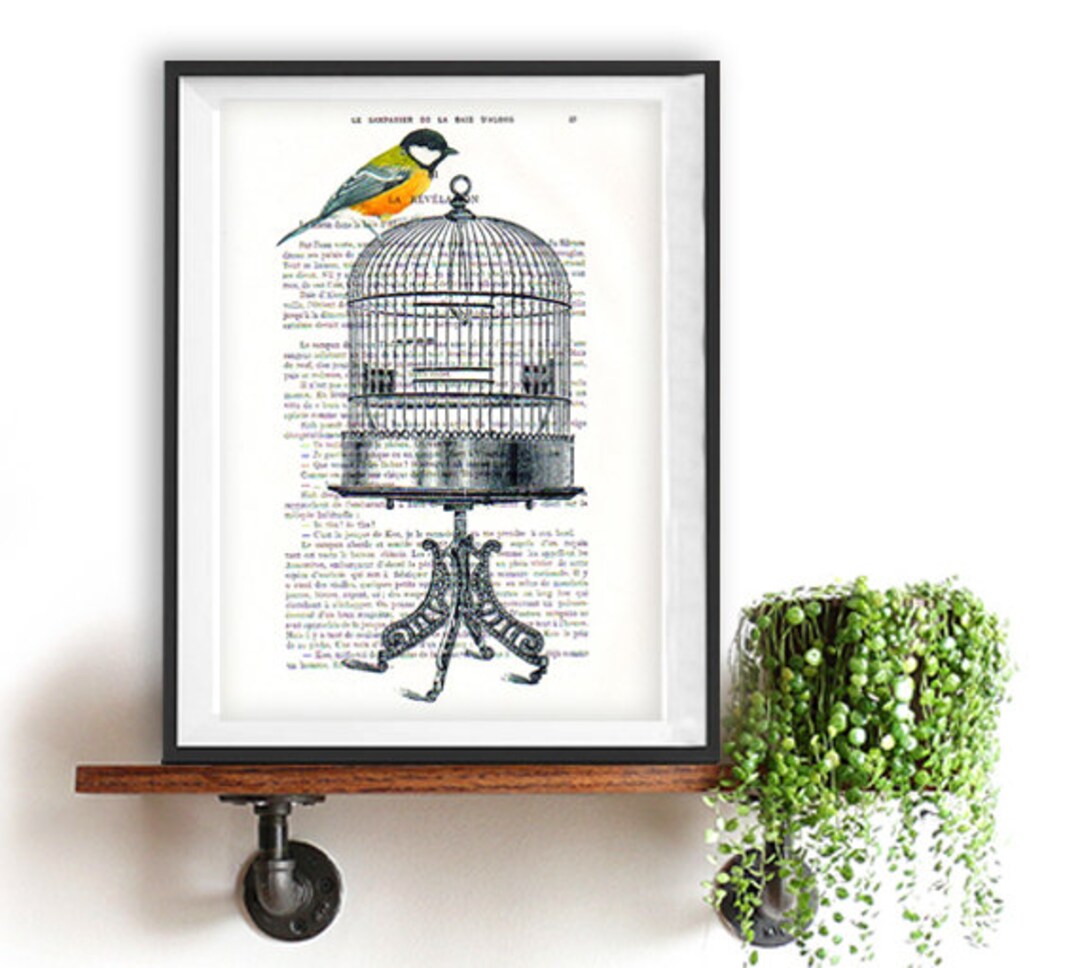 Bird Cage Print With Yellow Bird, Vintage Image, Free Like a Bird ...