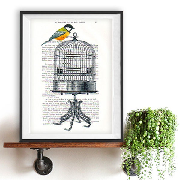Bird Cage Print - Etsy