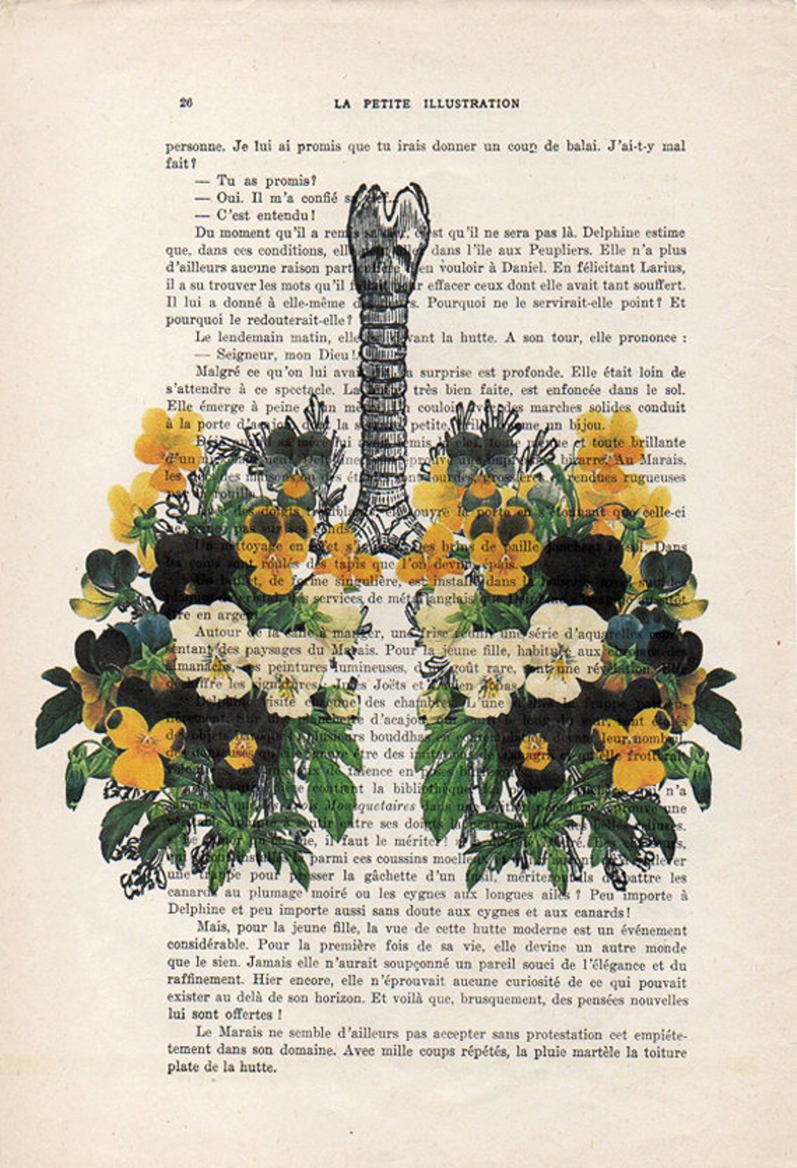 Retro Botanic Pansy Lungs Anatomy Print on 1900 Vintage Floral - Etsy