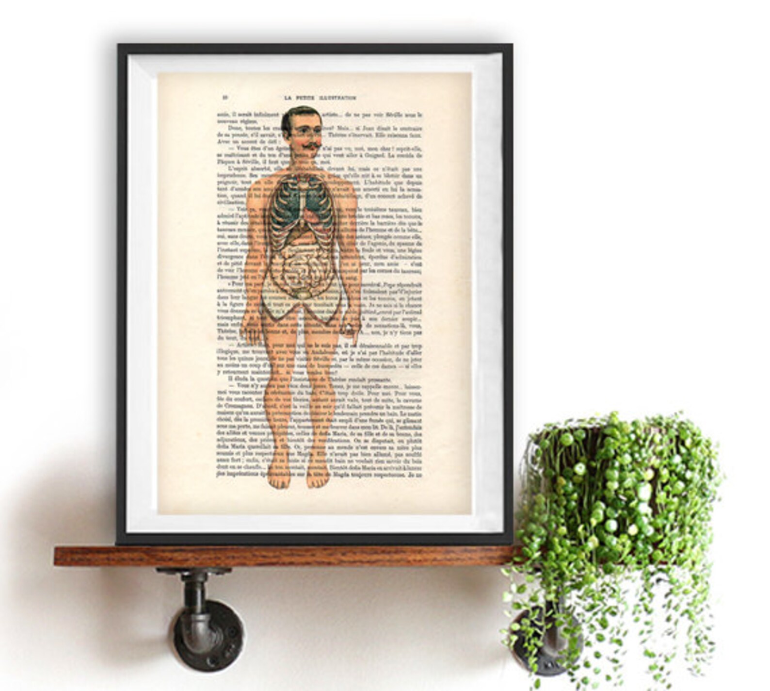 Retro Anatomy Man Print Body Illustration Dictionary Page Vintage ...