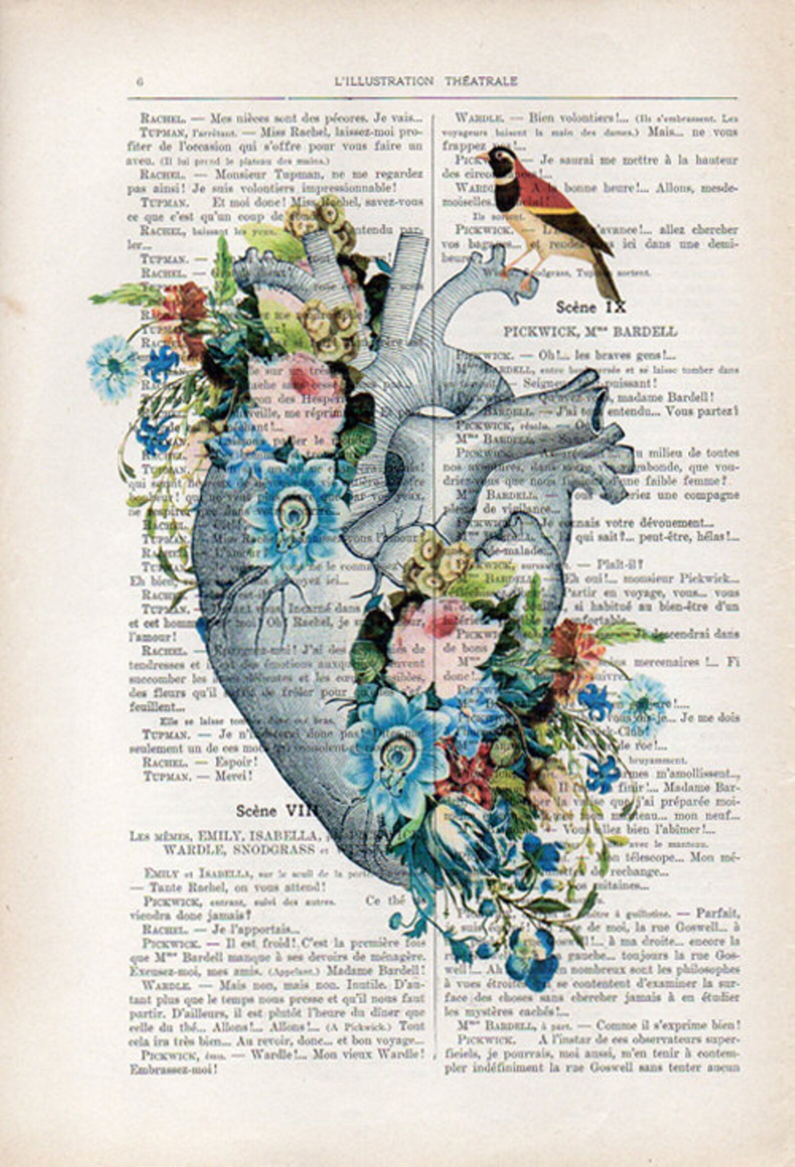 Heart Pansy Anatomy Botanical Blue Flower Vintage Drawing Book - Etsy