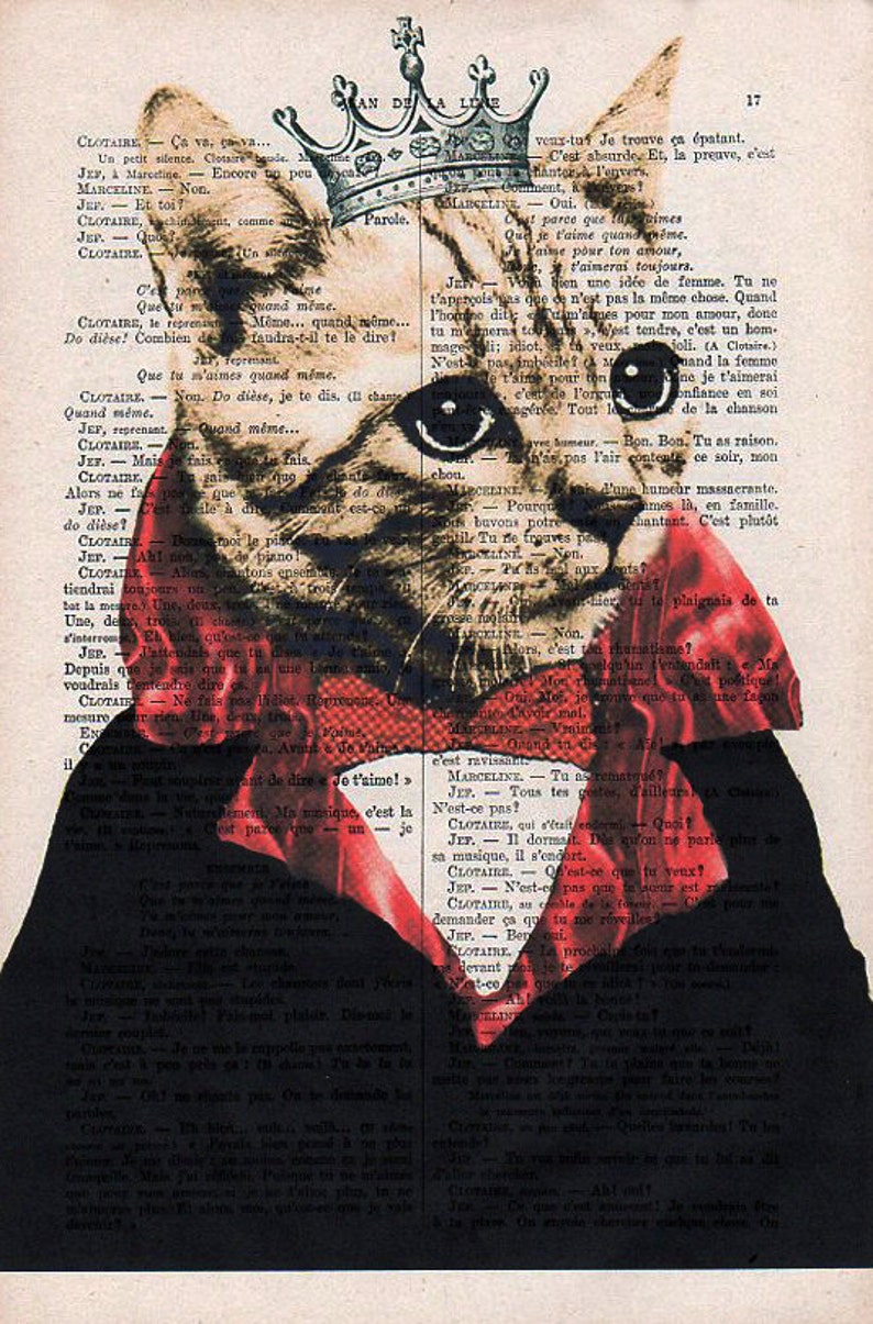 Cat Illustration King Cat Cat Print recycled Book Kids - Etsy