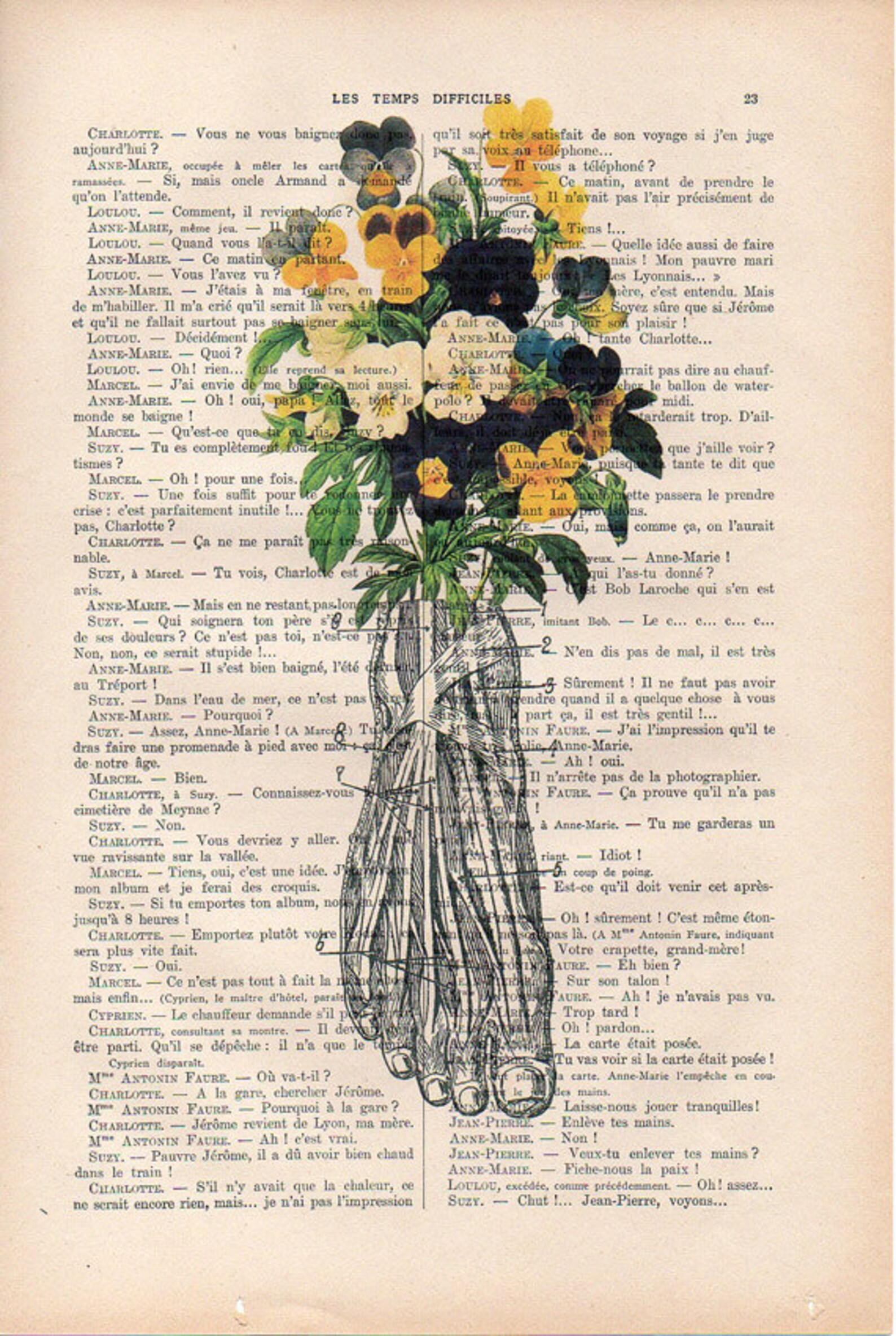 Botanic Pansy Feet Anatomy Print on 1900 Vintage Floral Page - Etsy