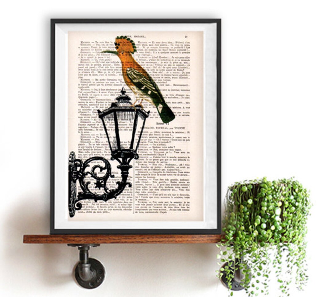 Street Light Print Bird Artwork Bird Print Colorfull Bird - Etsy