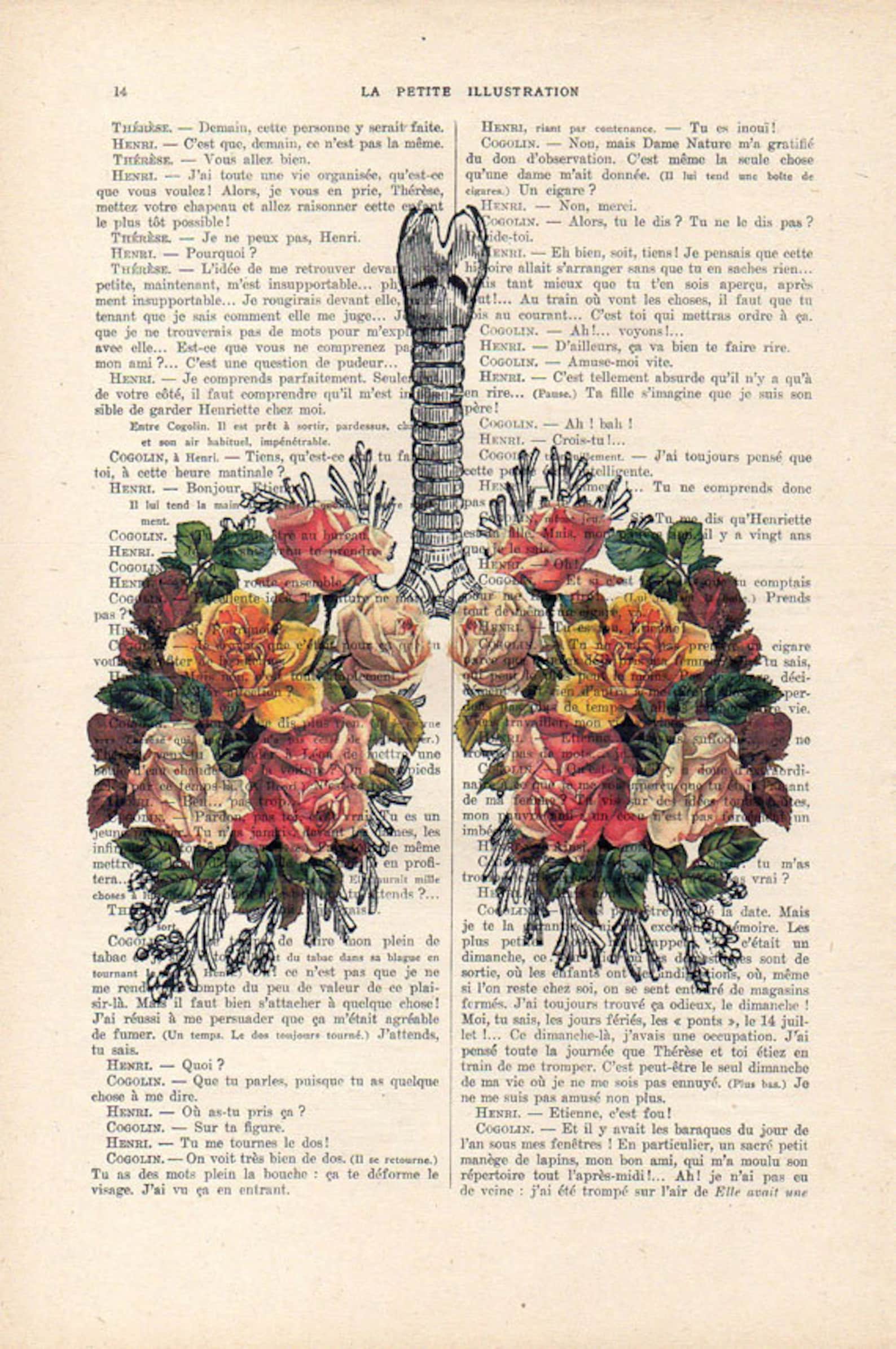 Botanic Roses Lungs Anatomy Print on 1900 Vintage Floral Page - Etsy