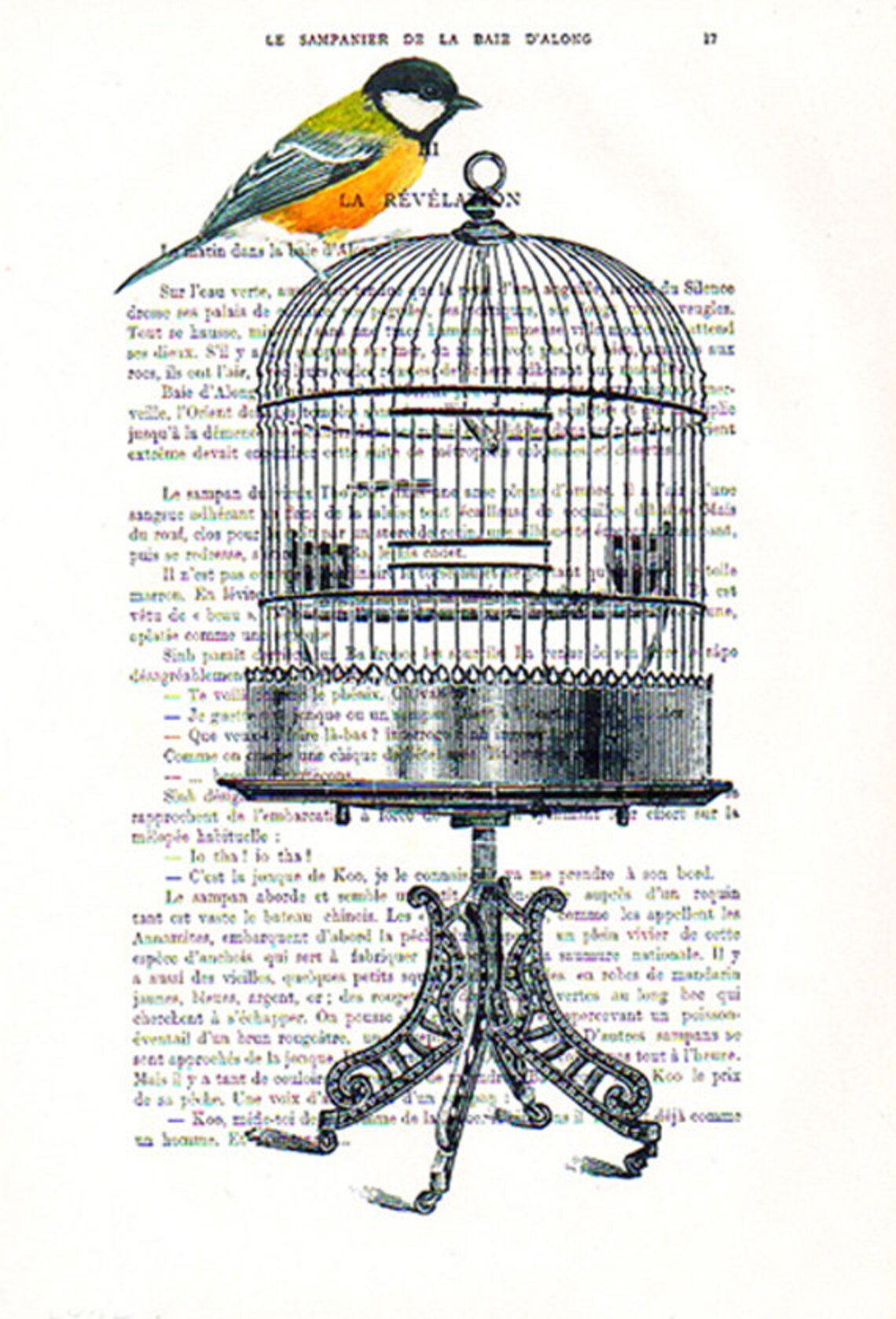 Bird Cage Print With Yellow Bird Vintage Image Free Like a - Etsy