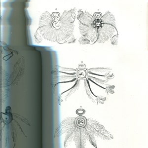 Maria Naylor, Authentic Indian Designs. - Etsy