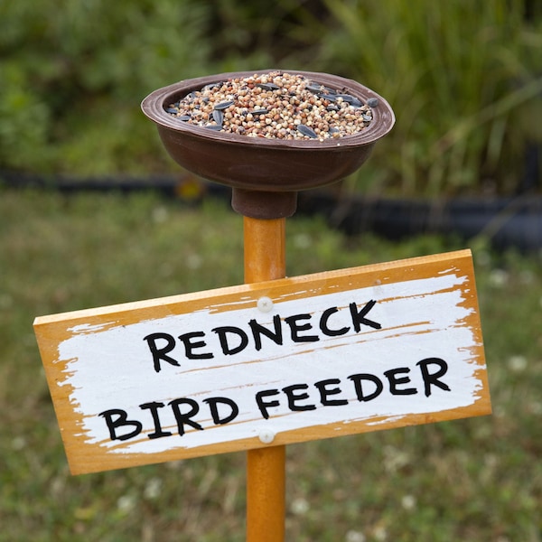 Bird Bath - Etsy
